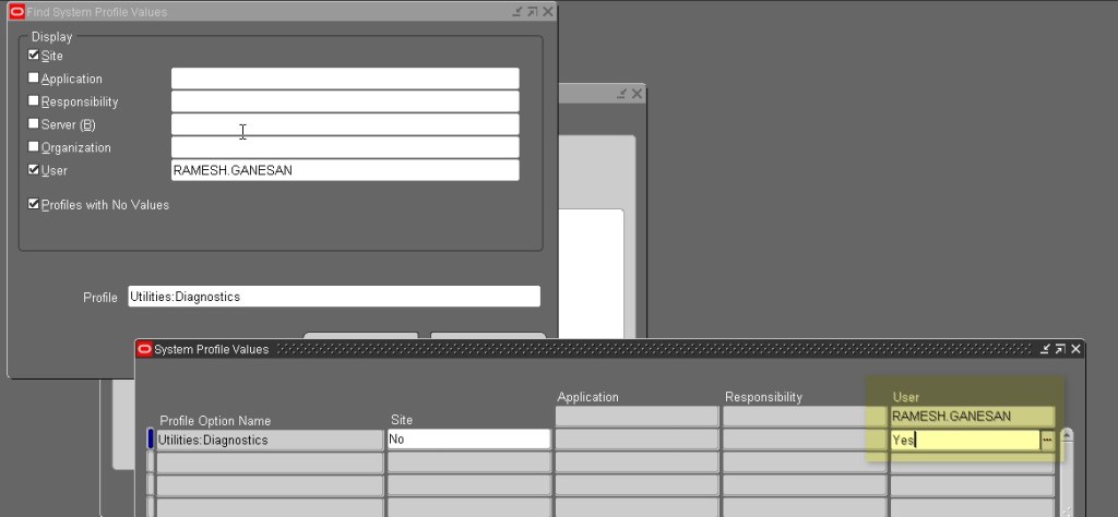 How to enable Diagnostics in Oracle Applications R12 | DBA365